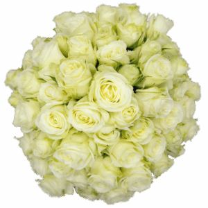 Be Loving - Alma - Spray Roses