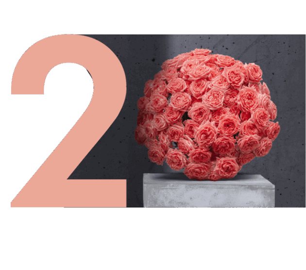 Top 5 Spray Roses - Alma - Spray Roses