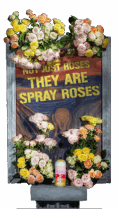 Top 5 Spray Roses - Alma - Spray Roses